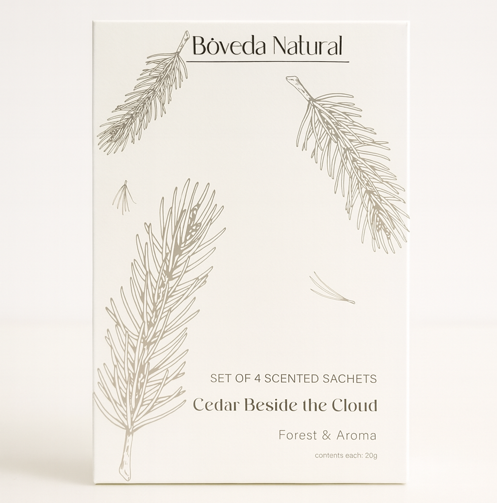Cedar Beside the Cloud – Bóveda Natural Panamá